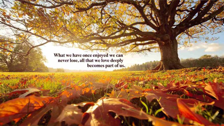 170+ Celebration Of Life Quotes And Messages For A Loved One: Heartfelt ...