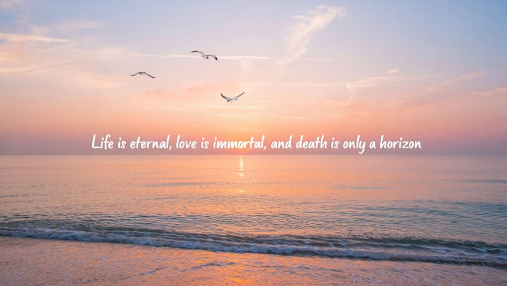 170+ Celebration Of Life Quotes And Messages For A Loved One: Heartfelt ...